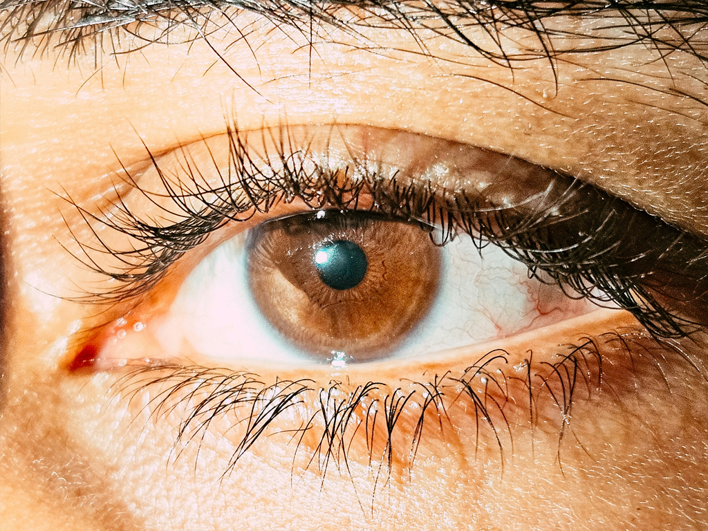 Your Choice Optical - Optical Services in Lemont Furnace, PA